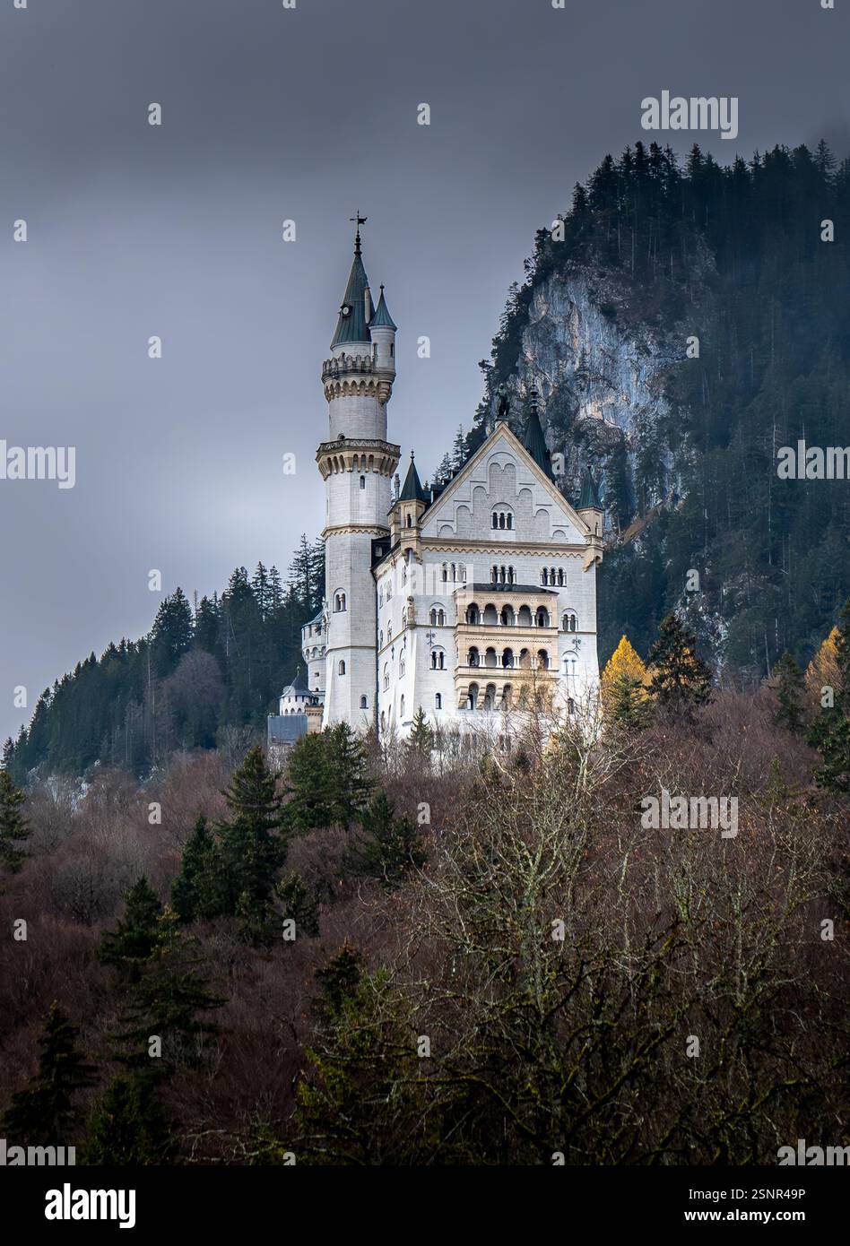 Bavarian alps castle neuschwanstein under hi-res stock photography and ...