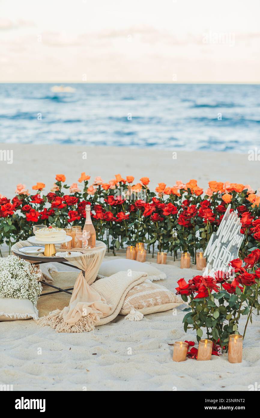 Beach Proposal Decor with Will You Marry Me Sign, Flowers and Cozy Area ...