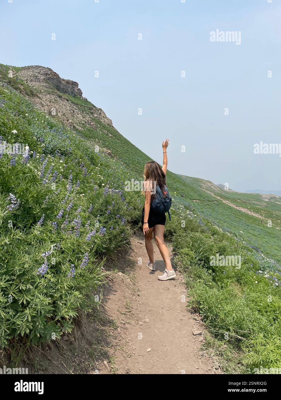 Panoramic hiking trail on hi-res stock photography and images - Alamy
