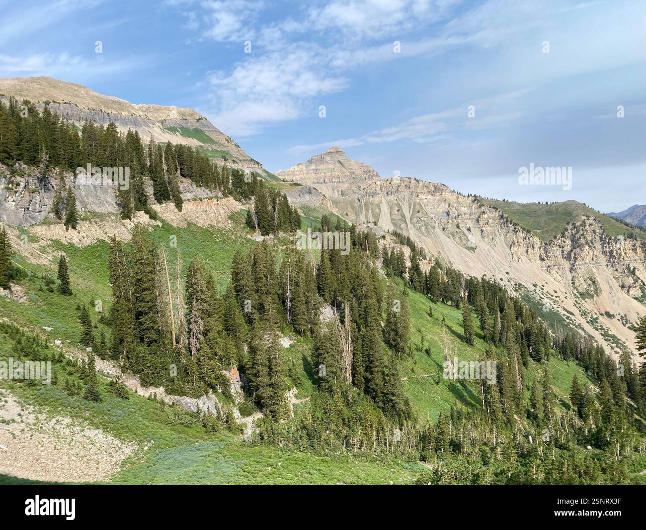 Hiking trail up Mt. Timpanogos Stock Photo - Alamy