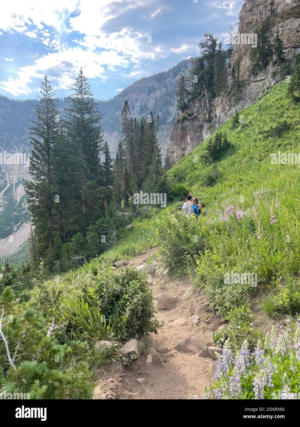 Hiking trail up Mt. Timpanogos Stock Photo - Alamy