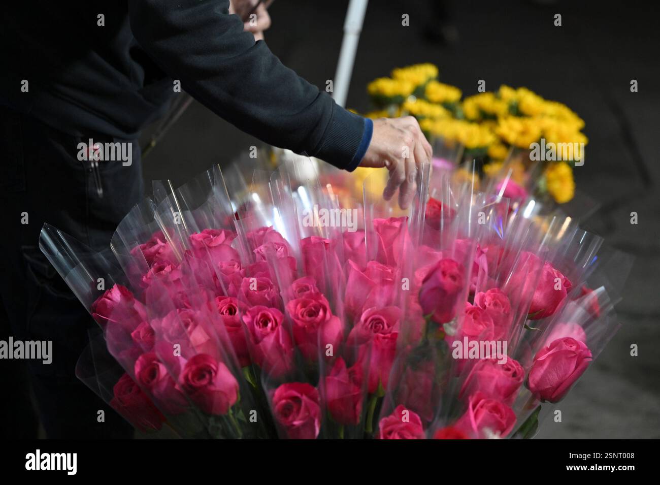 A man looks through of selection of individually wrapped red roses on ...