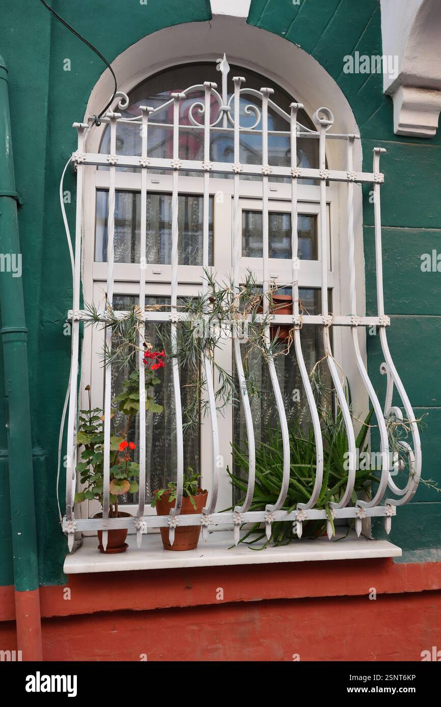 Decorative barred window with potted plants in urban setting Stock ...
