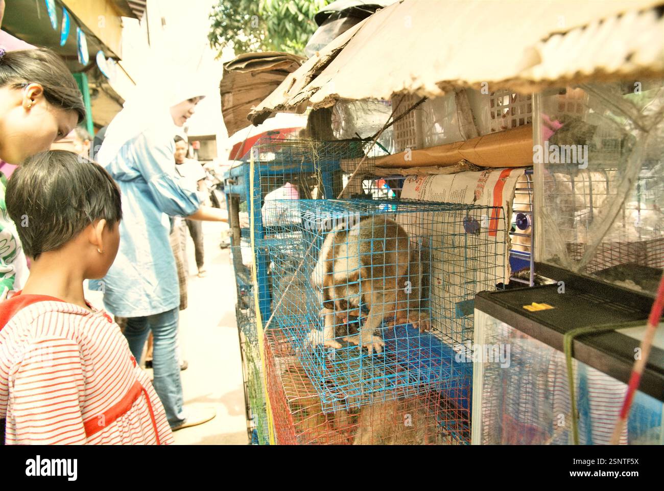A roadside animal vendor near an animal market that also sells wildlife ...