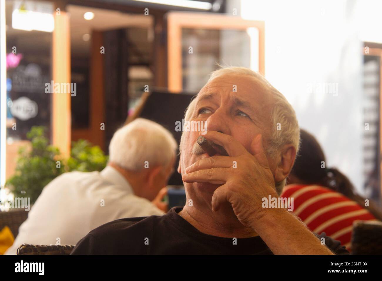 Portrait of the famous Romanian actor and director George Mihaita Stock ...