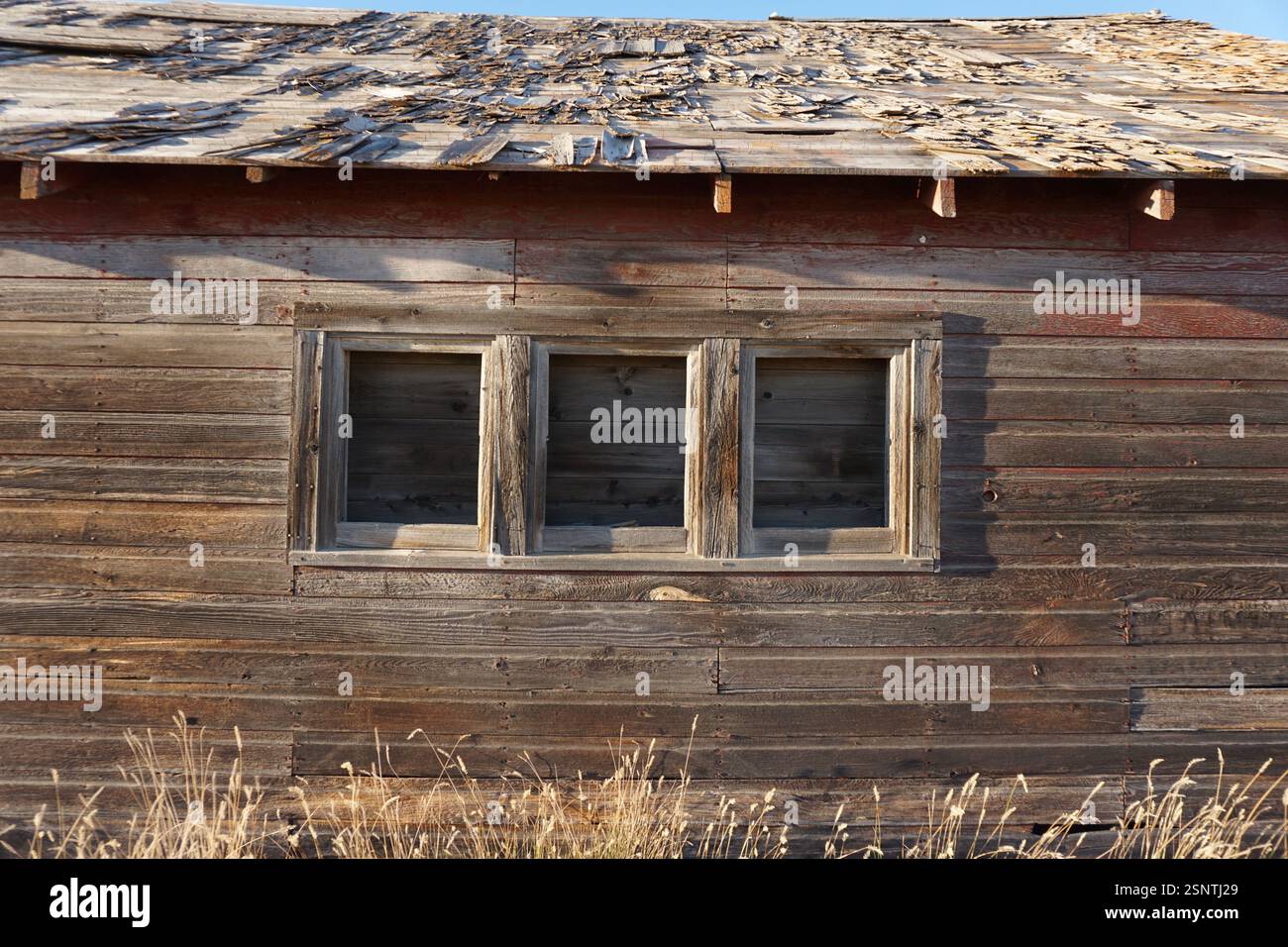 Barn in wheat field hi-res stock photography and images - Alamy