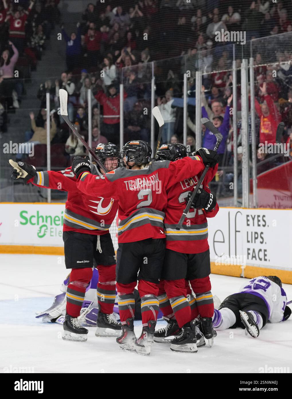 Ottawa, Canada. 13th Feb, 2025. Ottawa Charge's Tereza Vanisova (13 ...