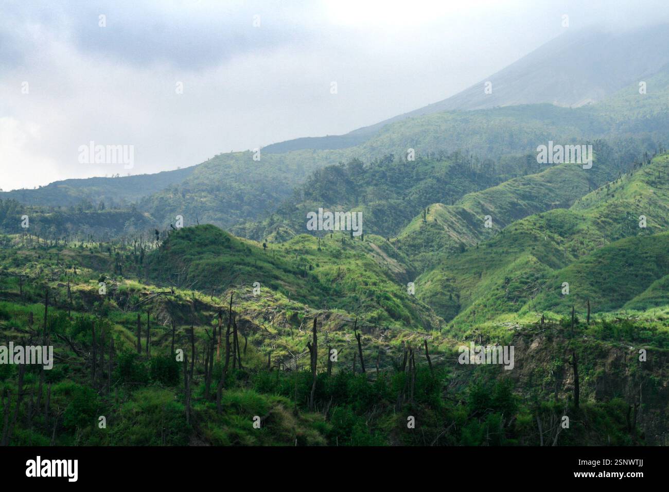 A lush landscape in a region of Indonesia one year after a volcanic ...