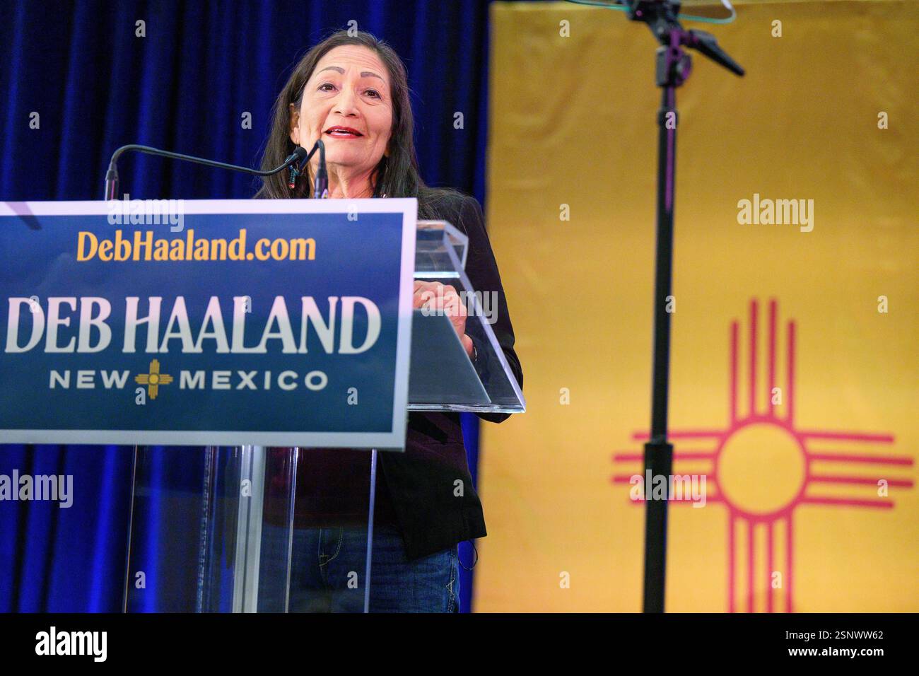 Albuquerque, United States. 13th Feb, 2025. New Mexico Democratic ...