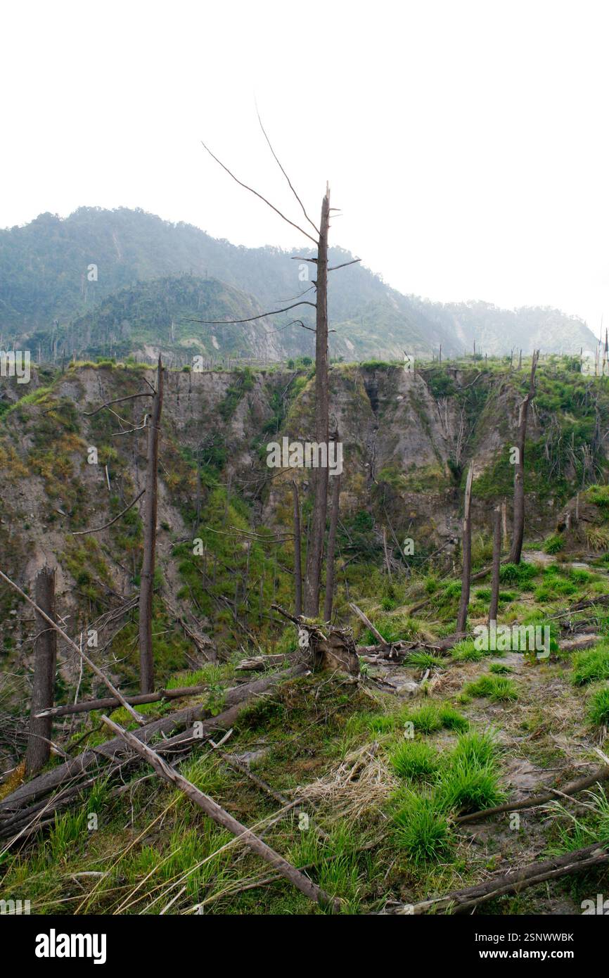 The photo captures a barren landscape surrounding Mount Merapi one year ...