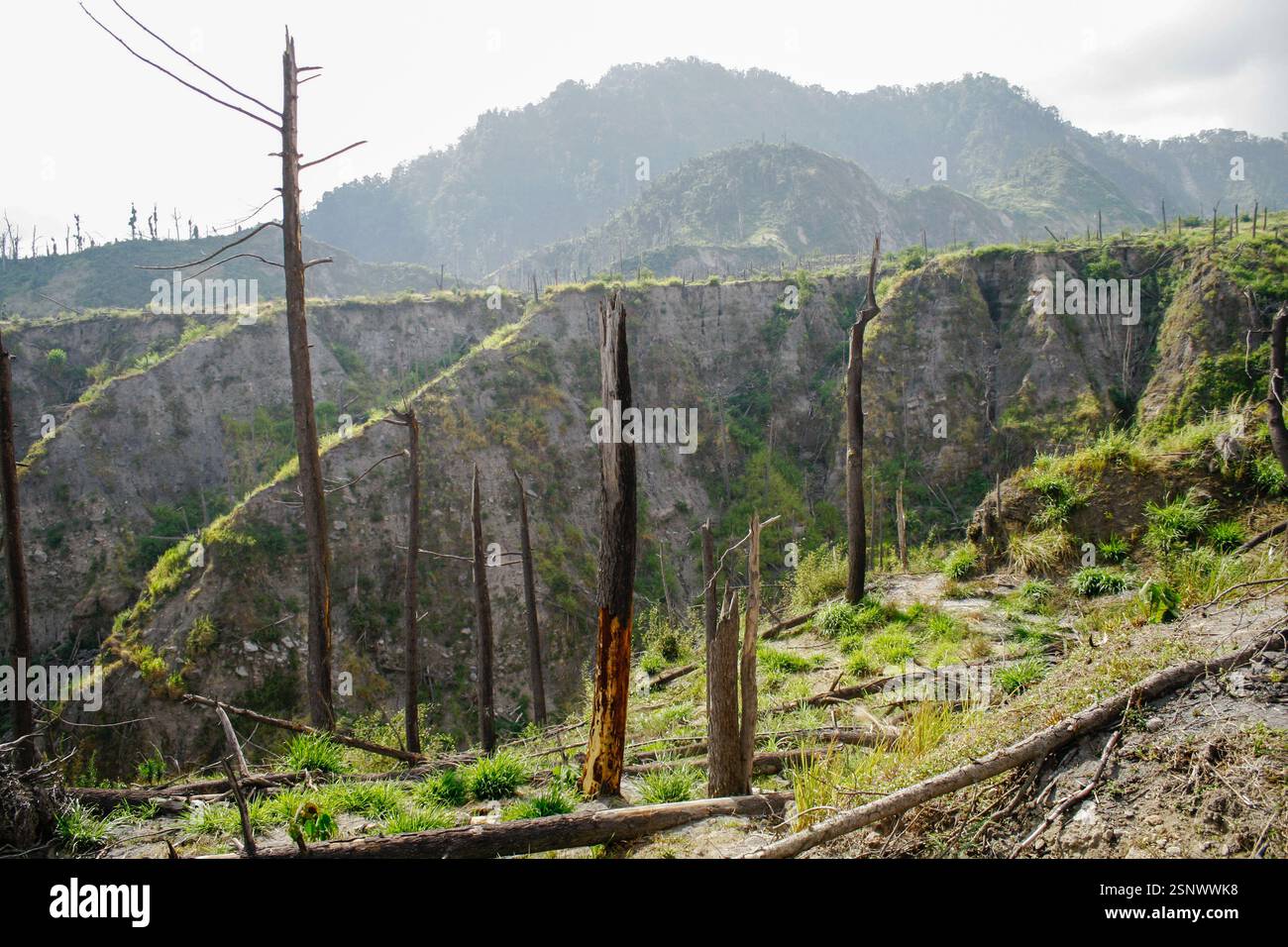 This image depicts the eroded landscape of Mount Merapi one year after ...