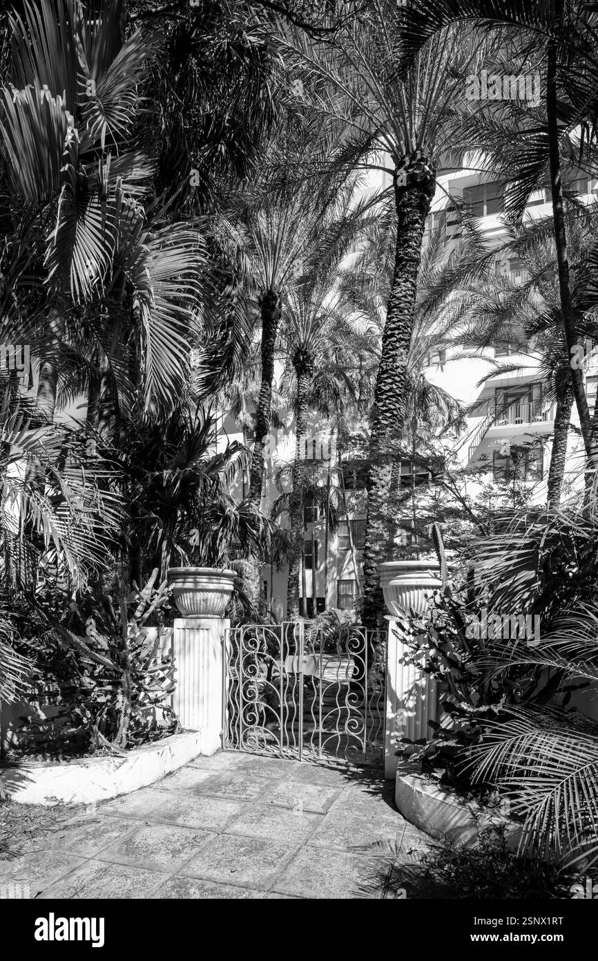 Vintage stock photo Black and White Stock Photos & Images - Alamy