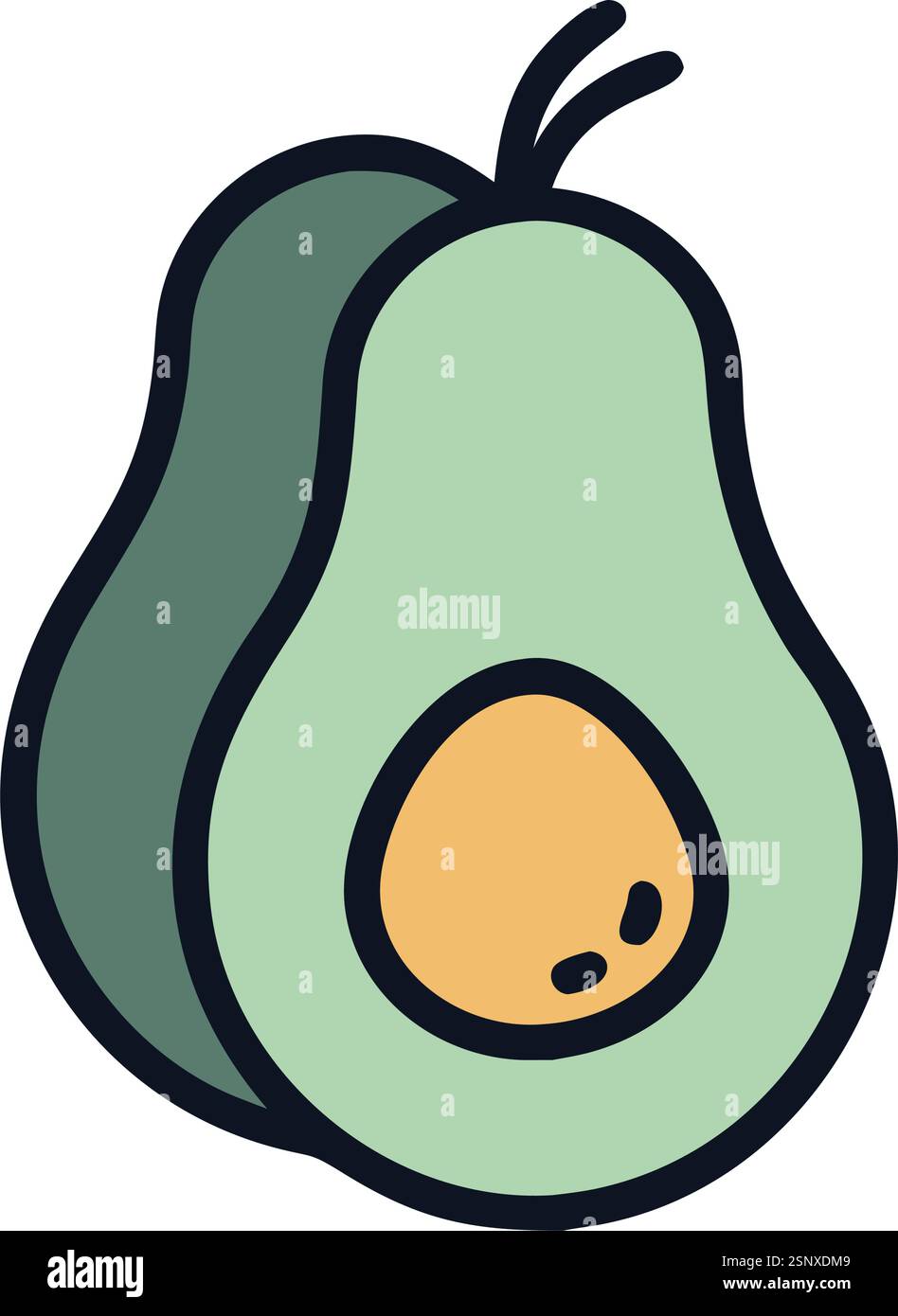 Half avocado raw fruits Stock Vector Images - Alamy