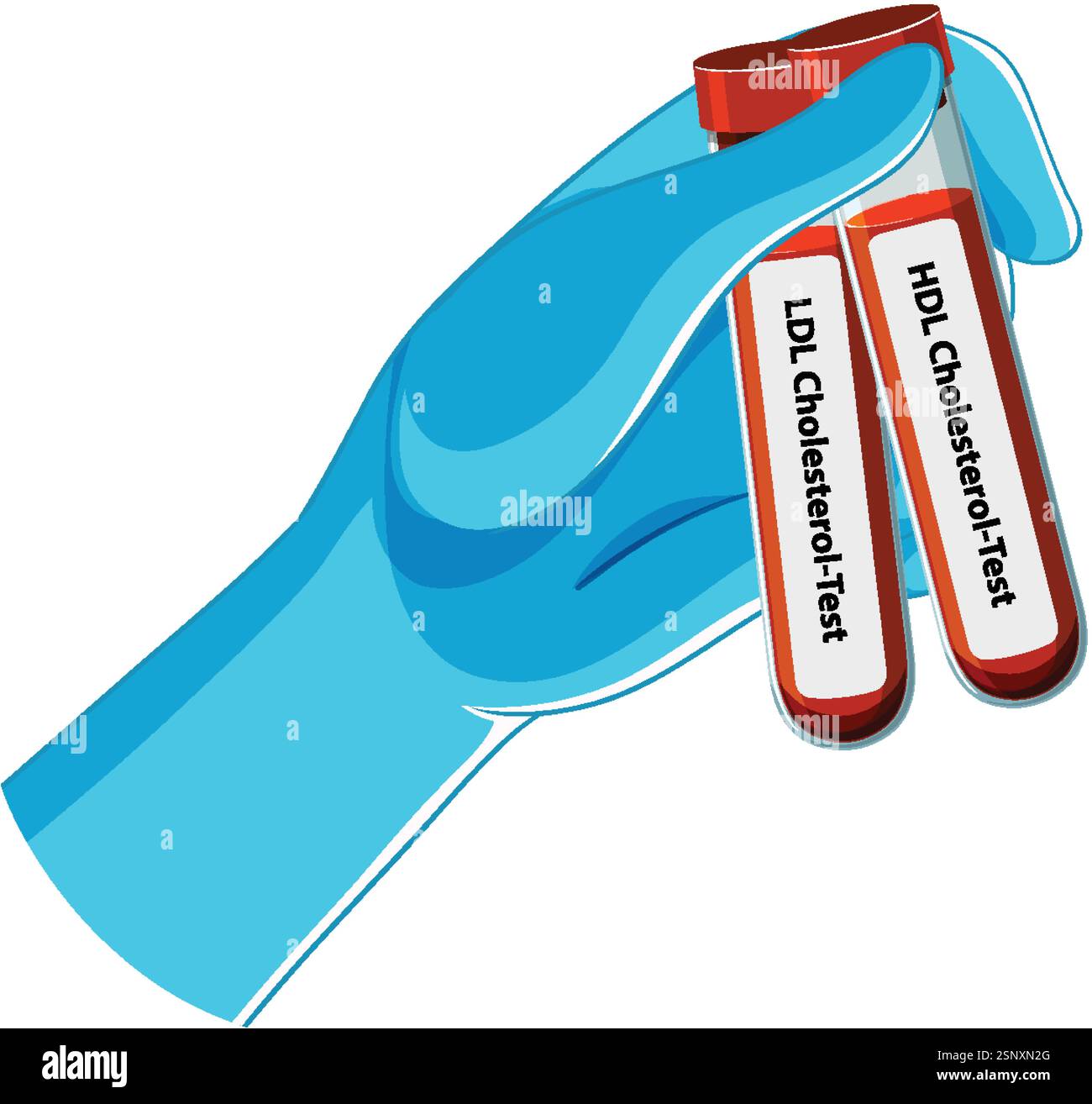 Hand holding LDL and HDL test tubes Stock Vector Image & Art - Alamy