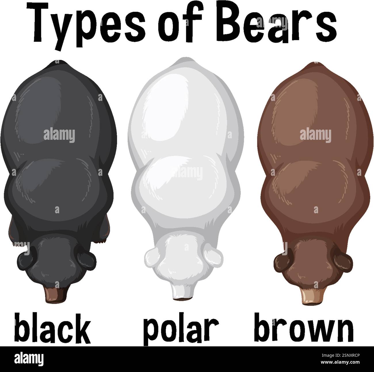 Black bear behavior Stock Vector Images - Alamy