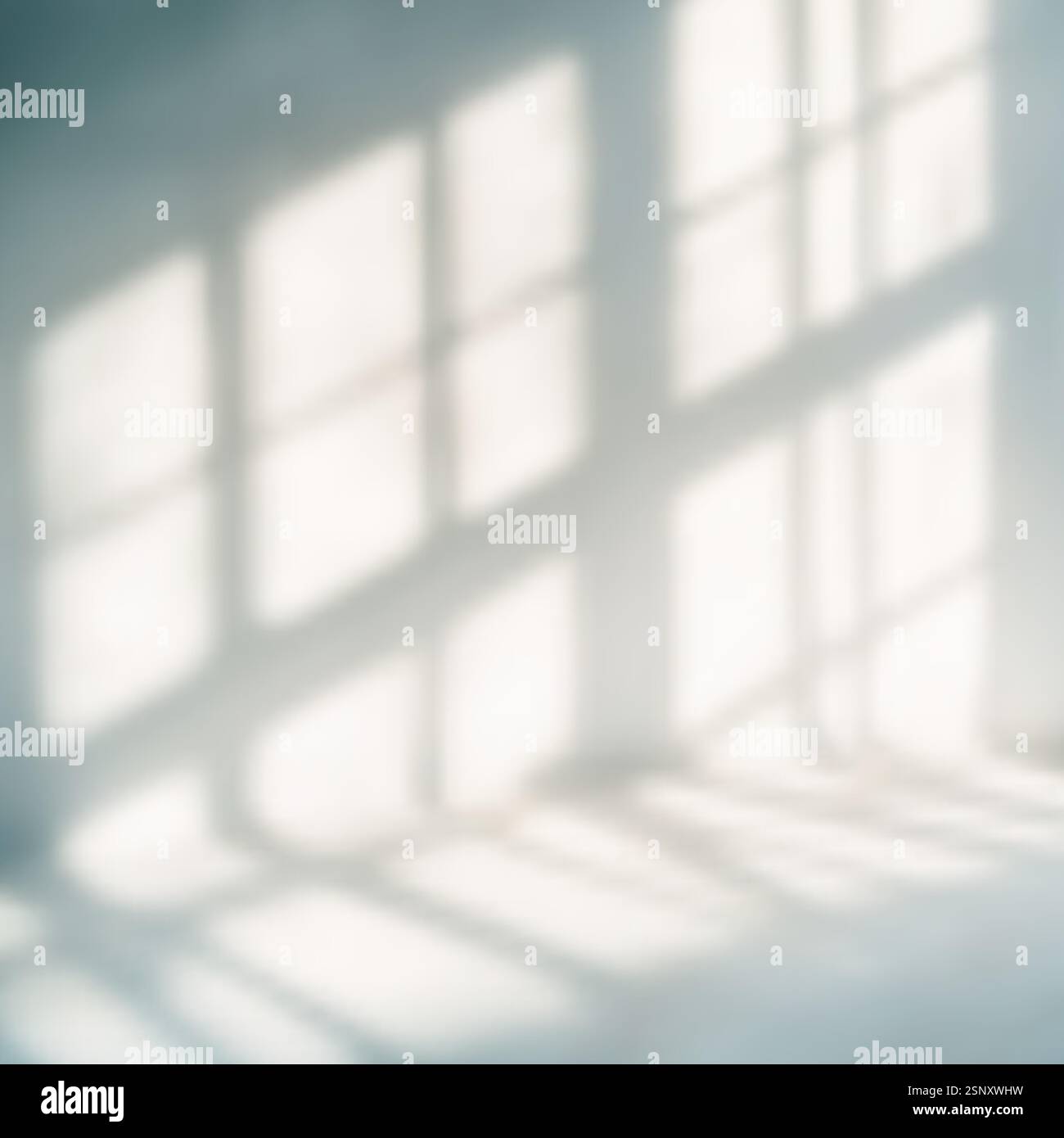 Minimal Soft Window Light Shadow Overlay for Branding, Packaging Design ...