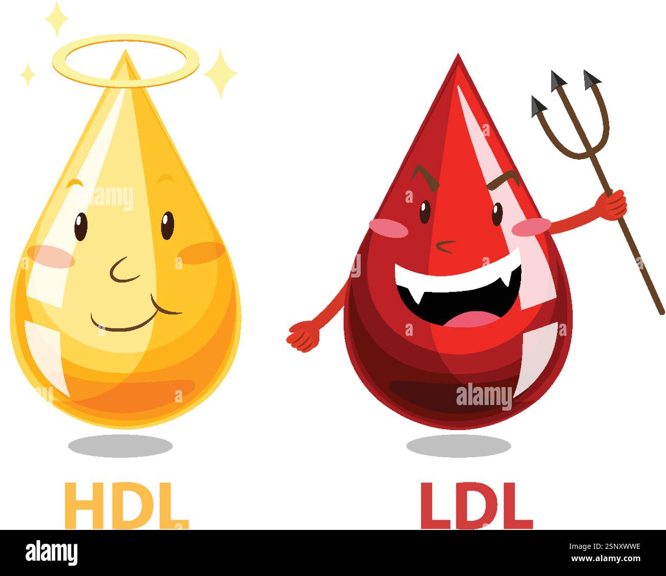 Illustration of HDL and LDL cholesterol droplets Stock Vector Image & Art - Alamy