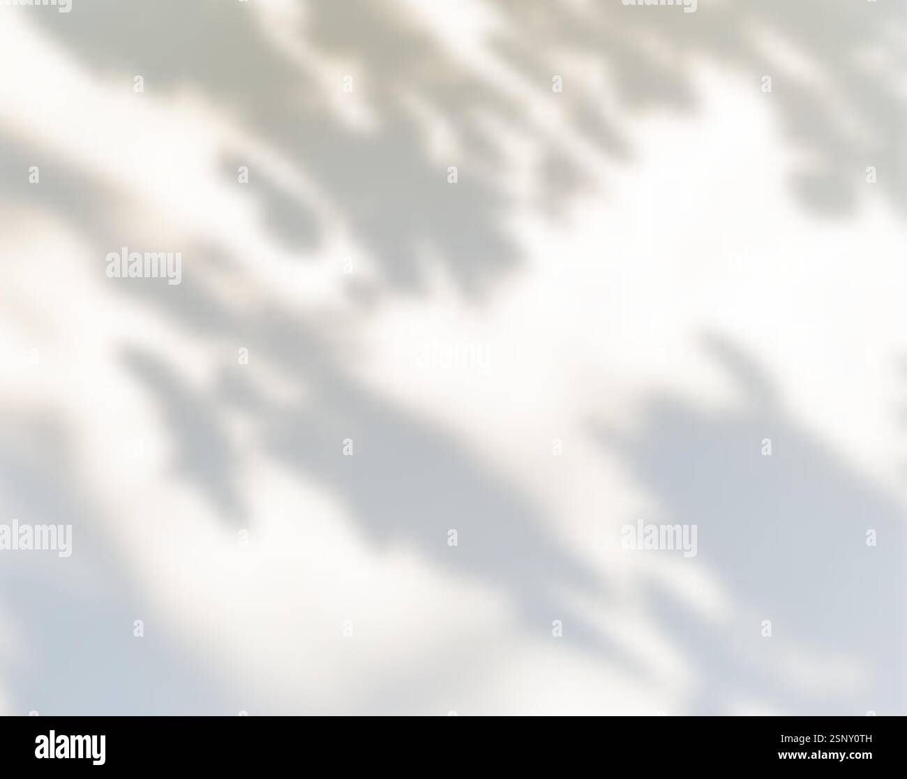 Soft Blurred Shadow Overlay with Natural Leaf Patterns for Elegant ...