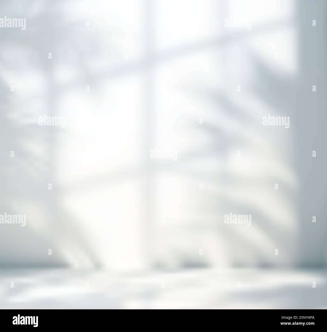 Minimal Soft Window Light Shadow Overlay for Branding, Packaging Design ...