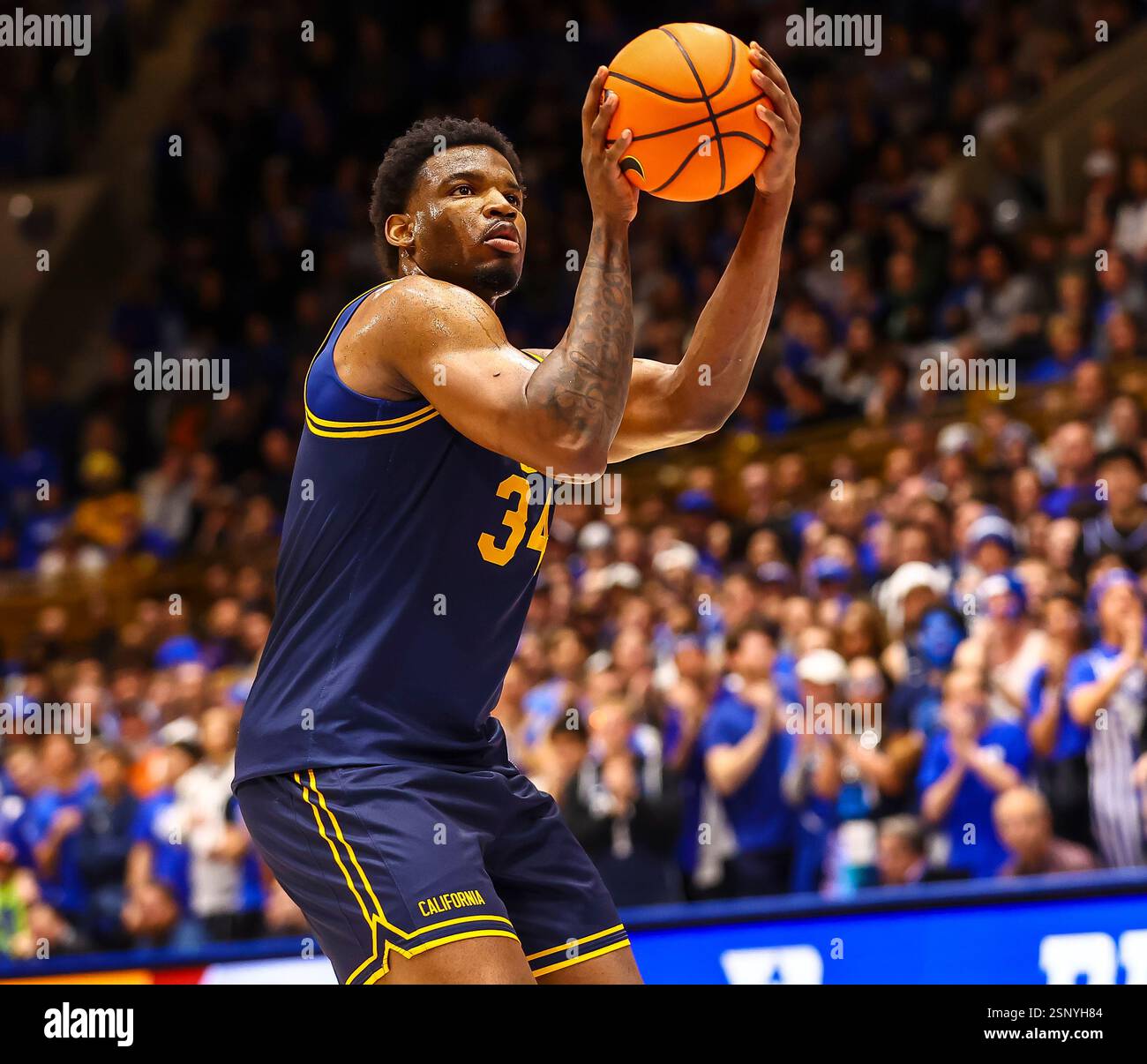 February 12, 2025: California forward Lee Dort (34) taking free throw ...