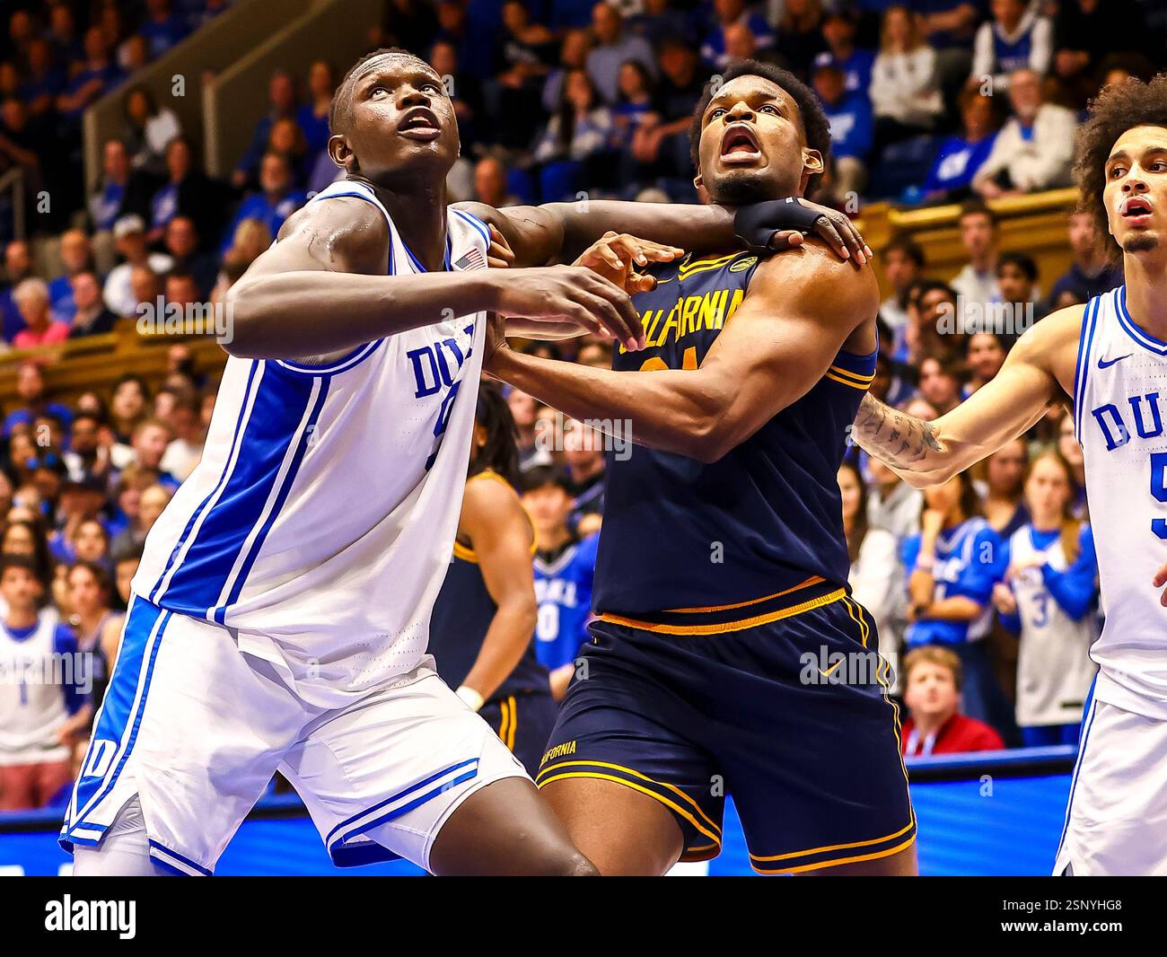 February 12, 2025: Duke center Khaman Maluach (9) and California ...