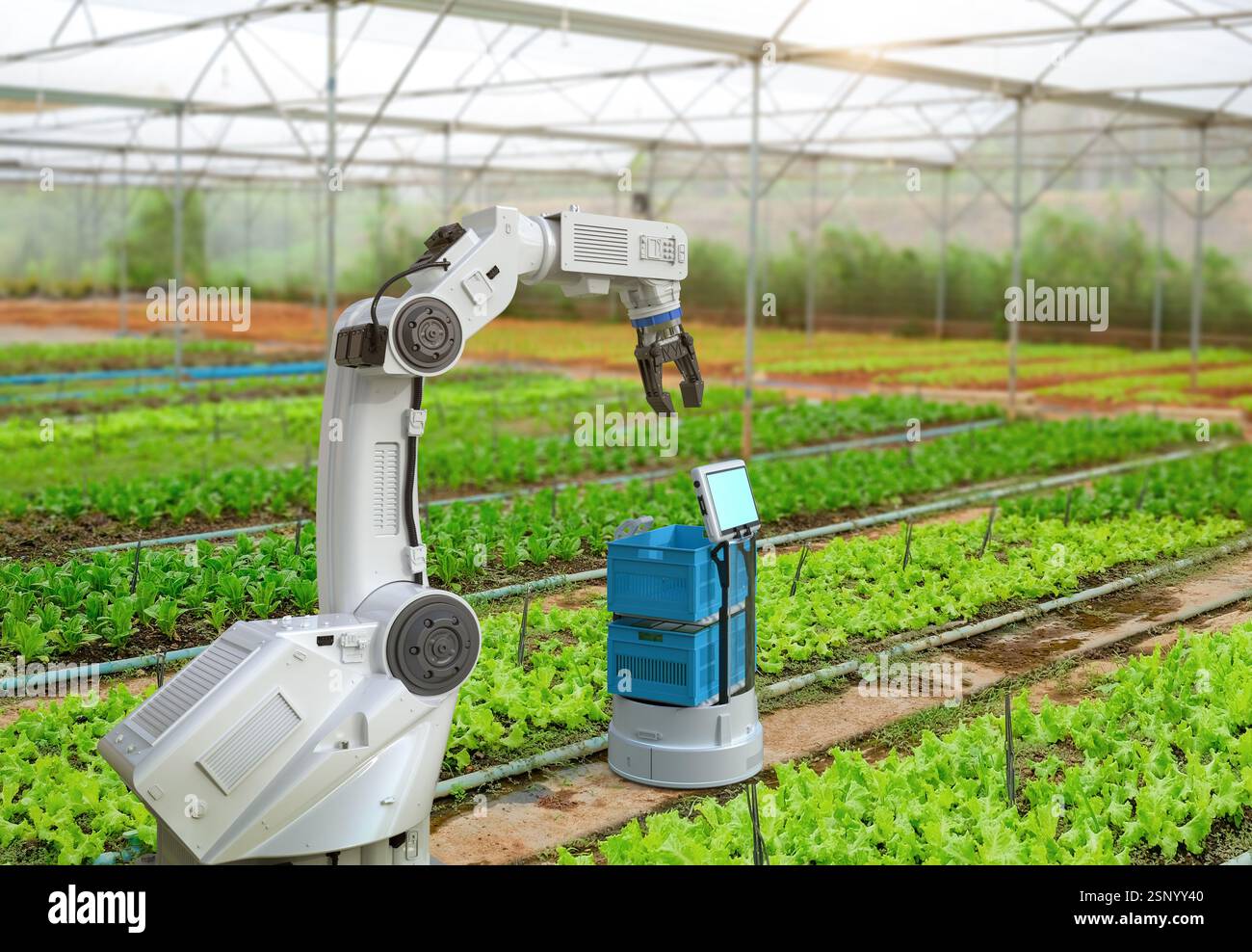 Agriculture technology concept with 3d rendering robotic arm harvest ...