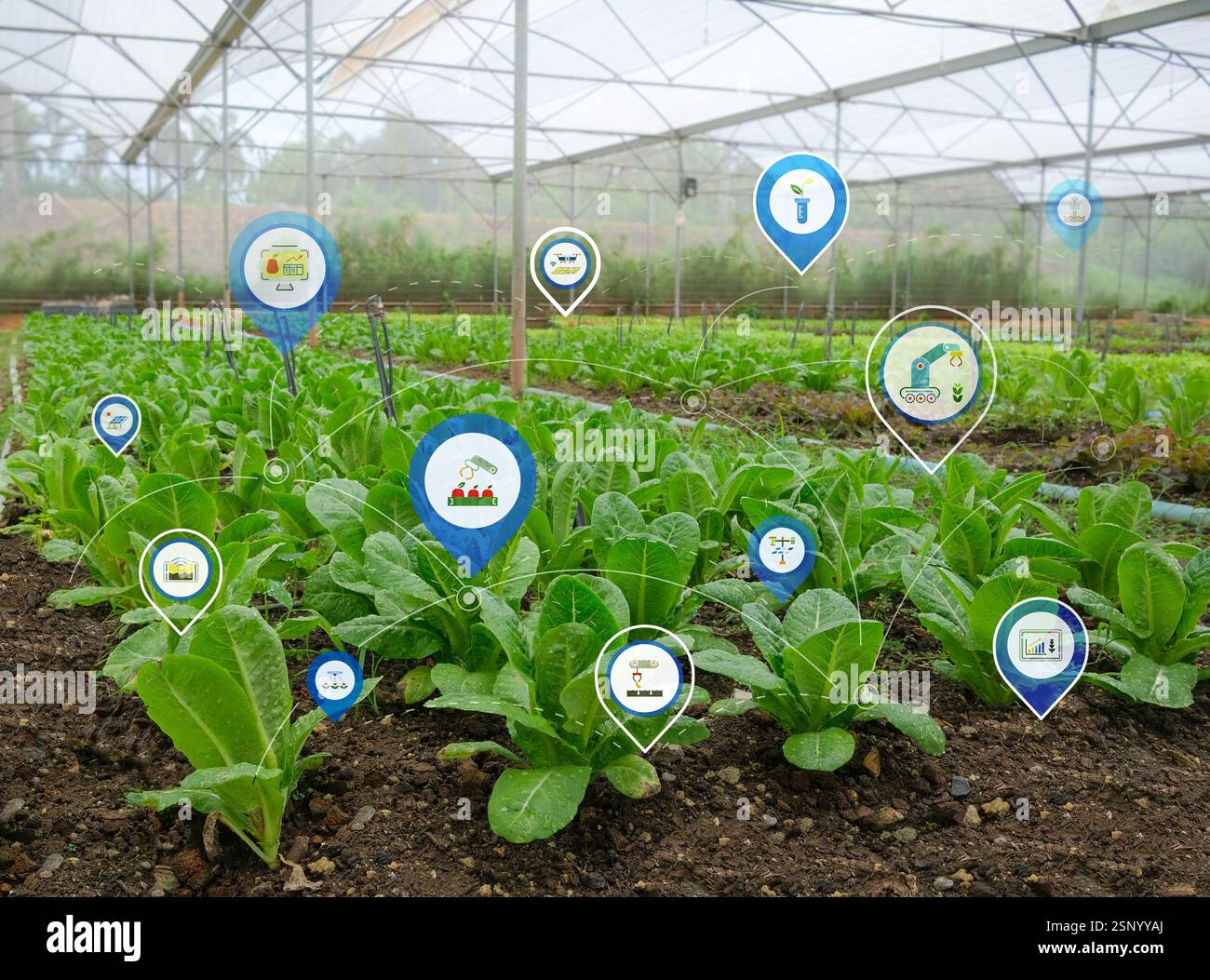 Automation farm for precision agriculture technology with digital ...