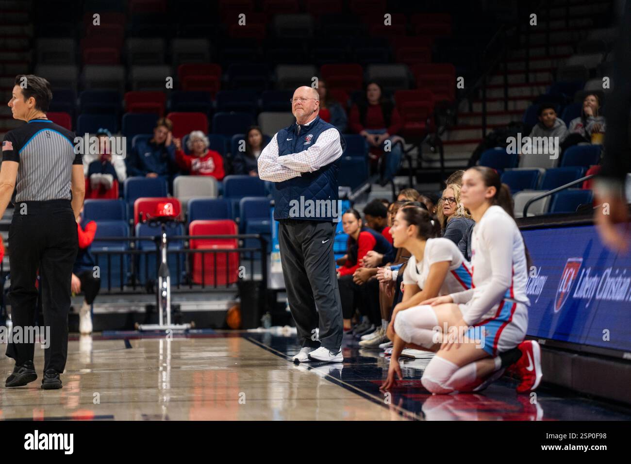 Head coach Carey Green of the Liberty Lady Flames looks on during a ...