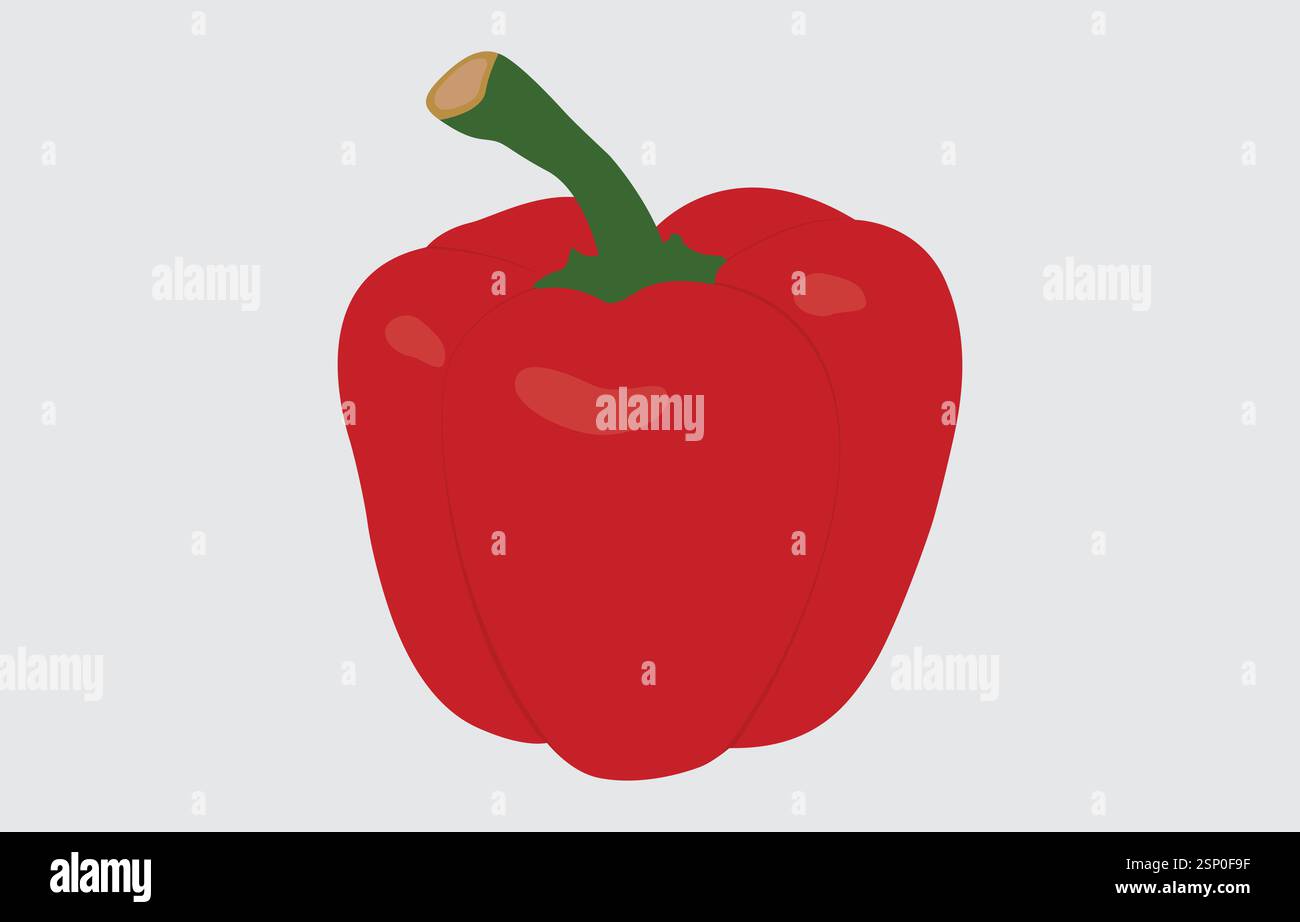 Red capsicum Vector Art Illustration Isolated on white background Stock ...