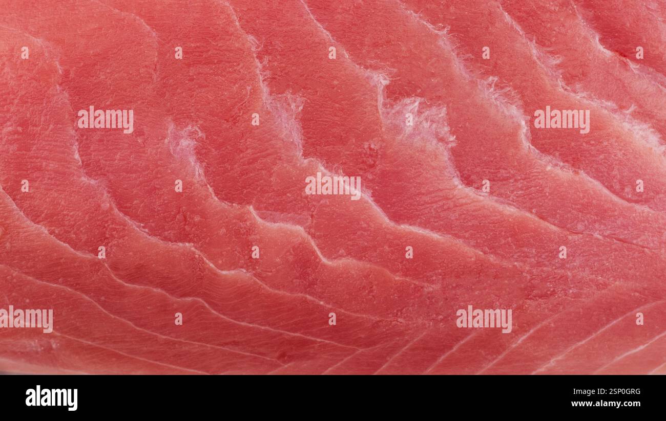 Macro shot yellow fin tuna steak background. Fresh rare steak close up ...
