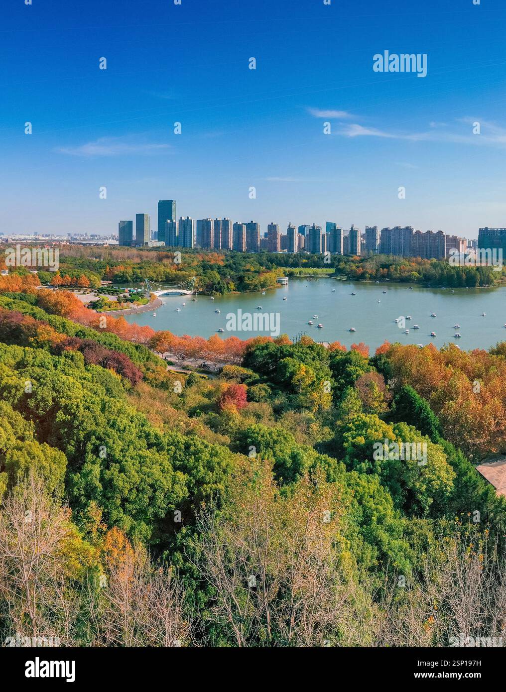 Aerial photography of New Century Park in Pudong New Area, Shanghai ...