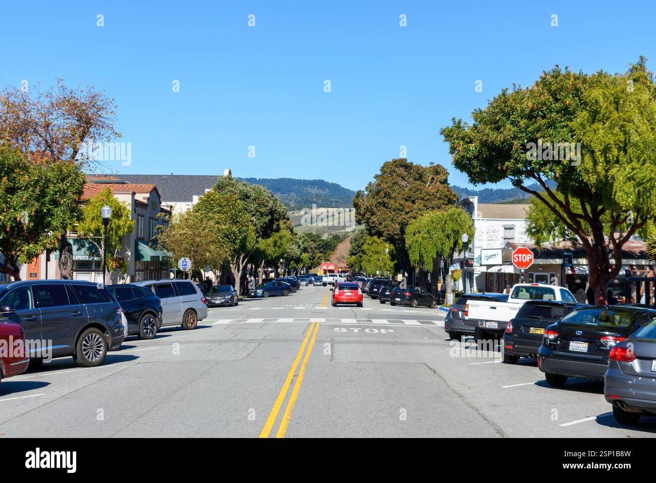A quiet Stage Road in a charming town, framed by lush trees ...