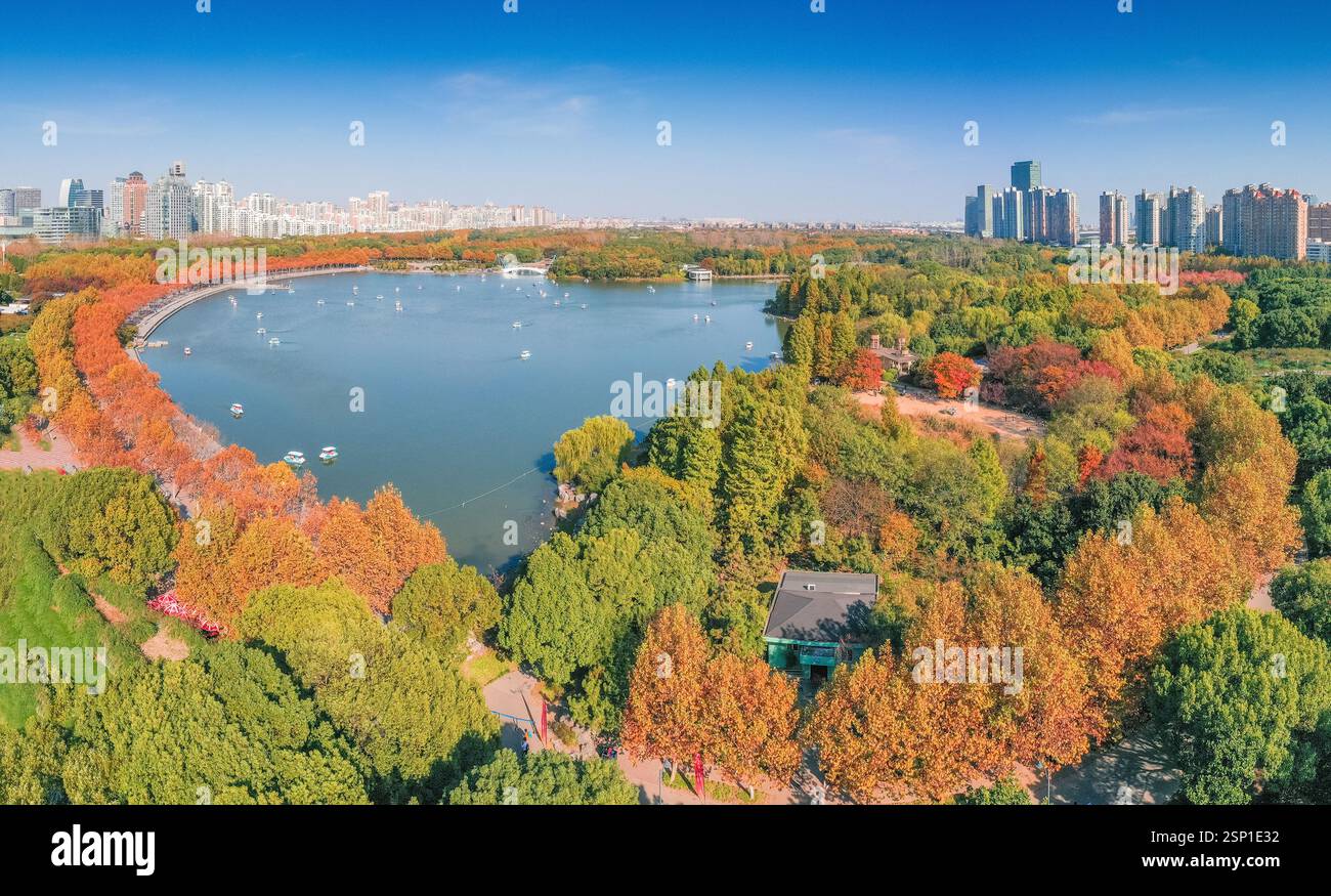 Aerial photography of New Century Park in Pudong New Area, Shanghai ...