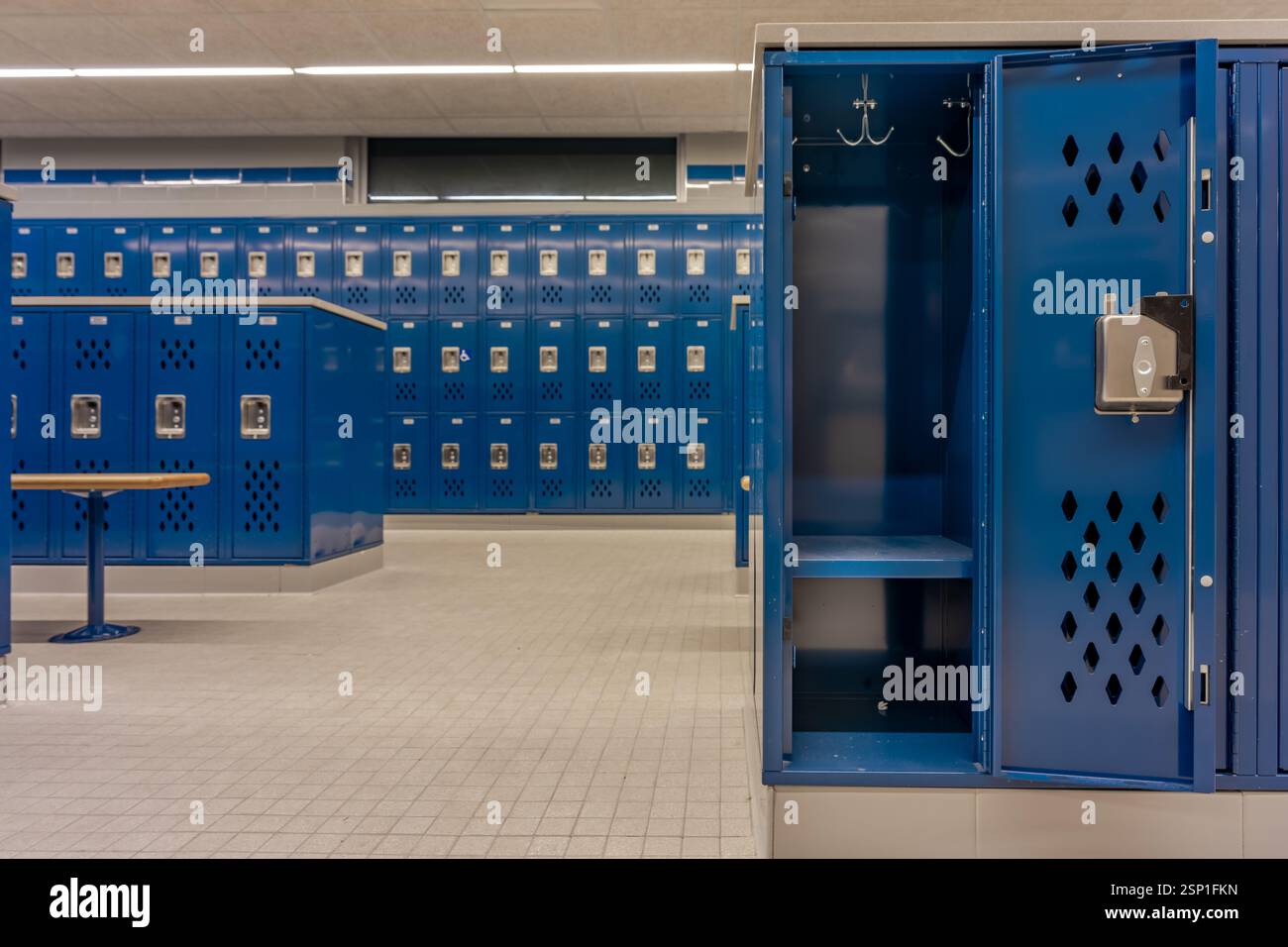 Empty team locker, locker room, changing room, with an open locker ...