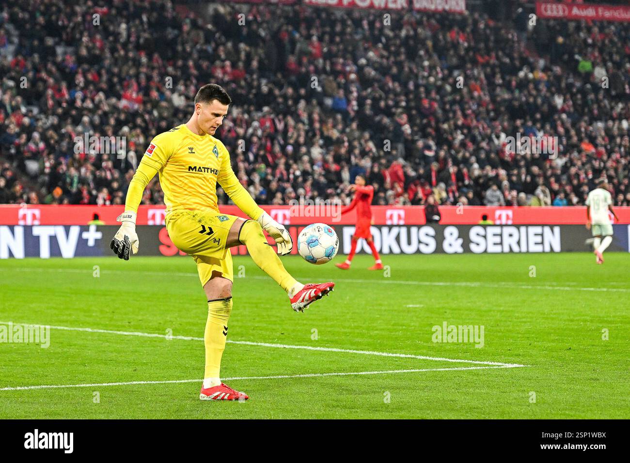 07.02.2025, Allianz-Arena, M?nchen, GER, 1. FBL, FC Bayern M?nchen vs ...