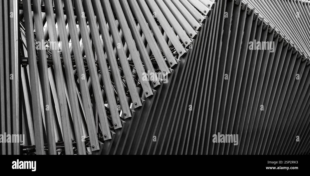 A sophisticated architectural design featuring curvilinear fastening of ...