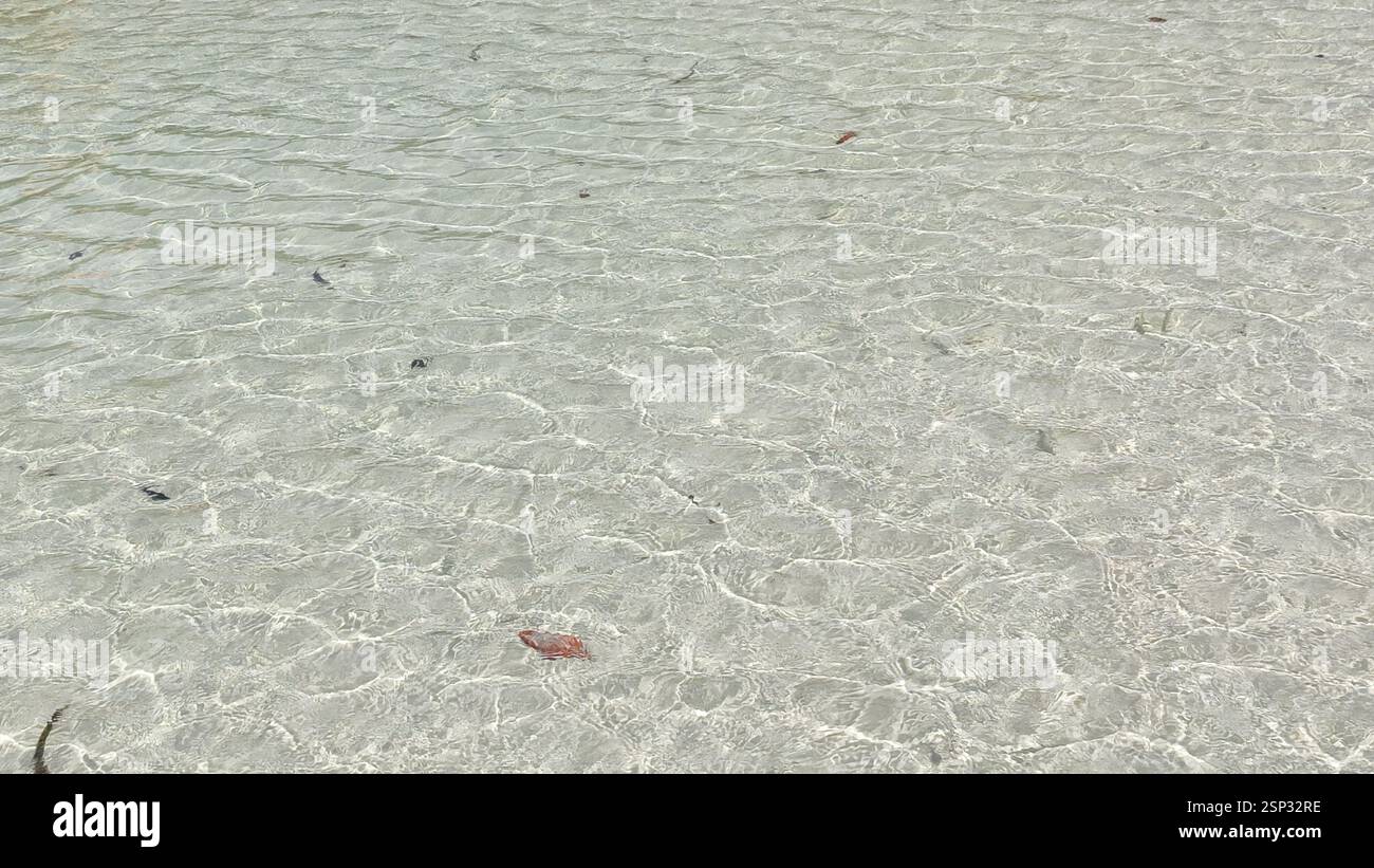 Aerial view whitehaven beach on hi-res stock photography and images - Alamy