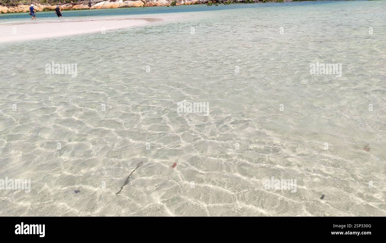 Whitsunday Islands awash in color. Heart-shaped Hill Inlet beach stuns ...