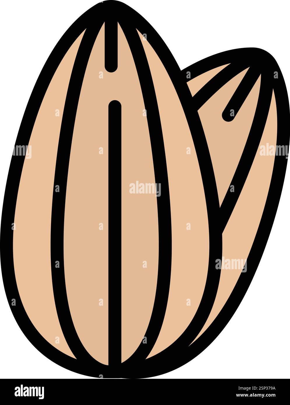 Nut vector vectors Stock Vector Images - Alamy