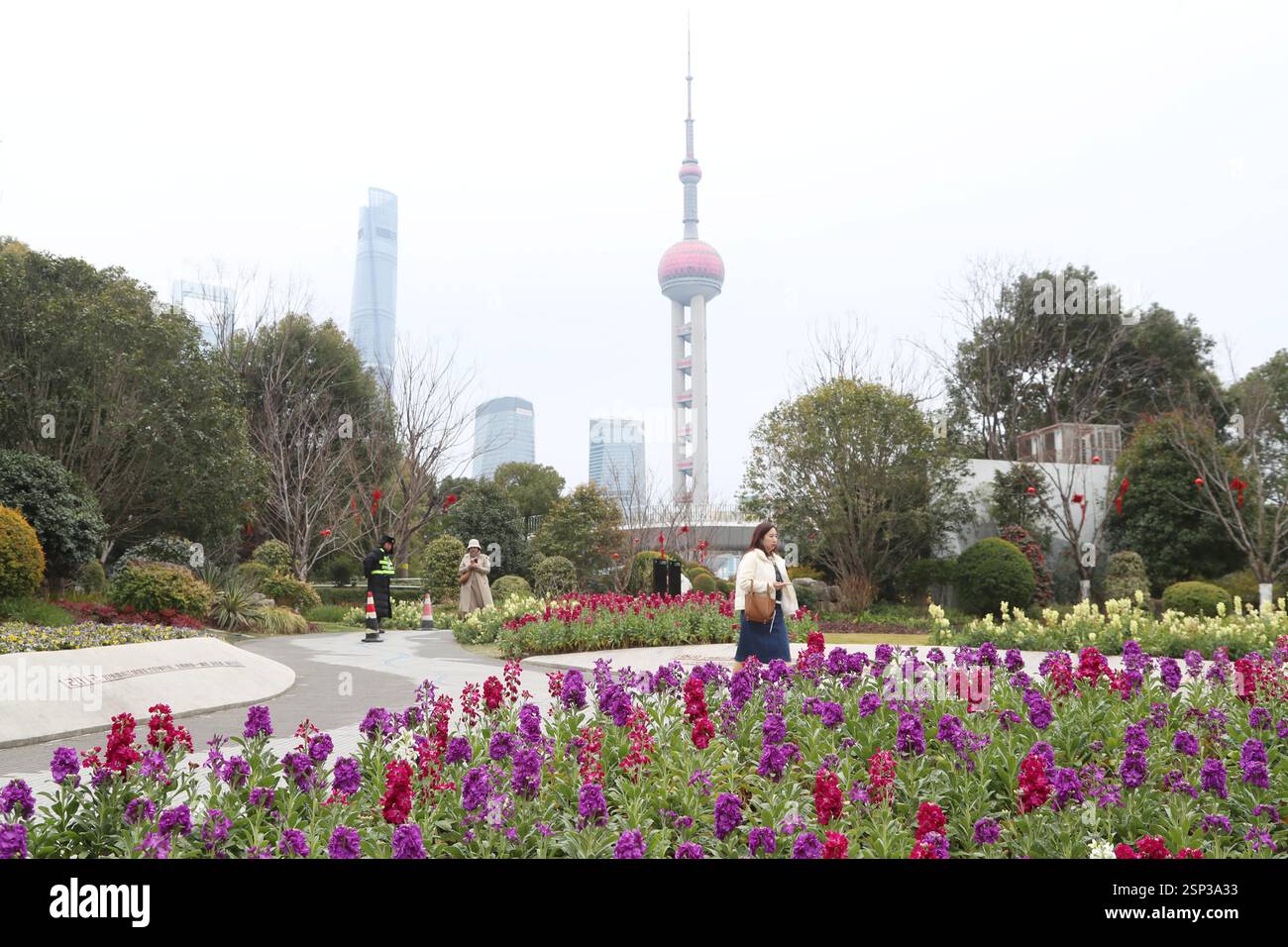 Spring flowers burst into bloom in Shanghai, China, 11 February, 2025 ...