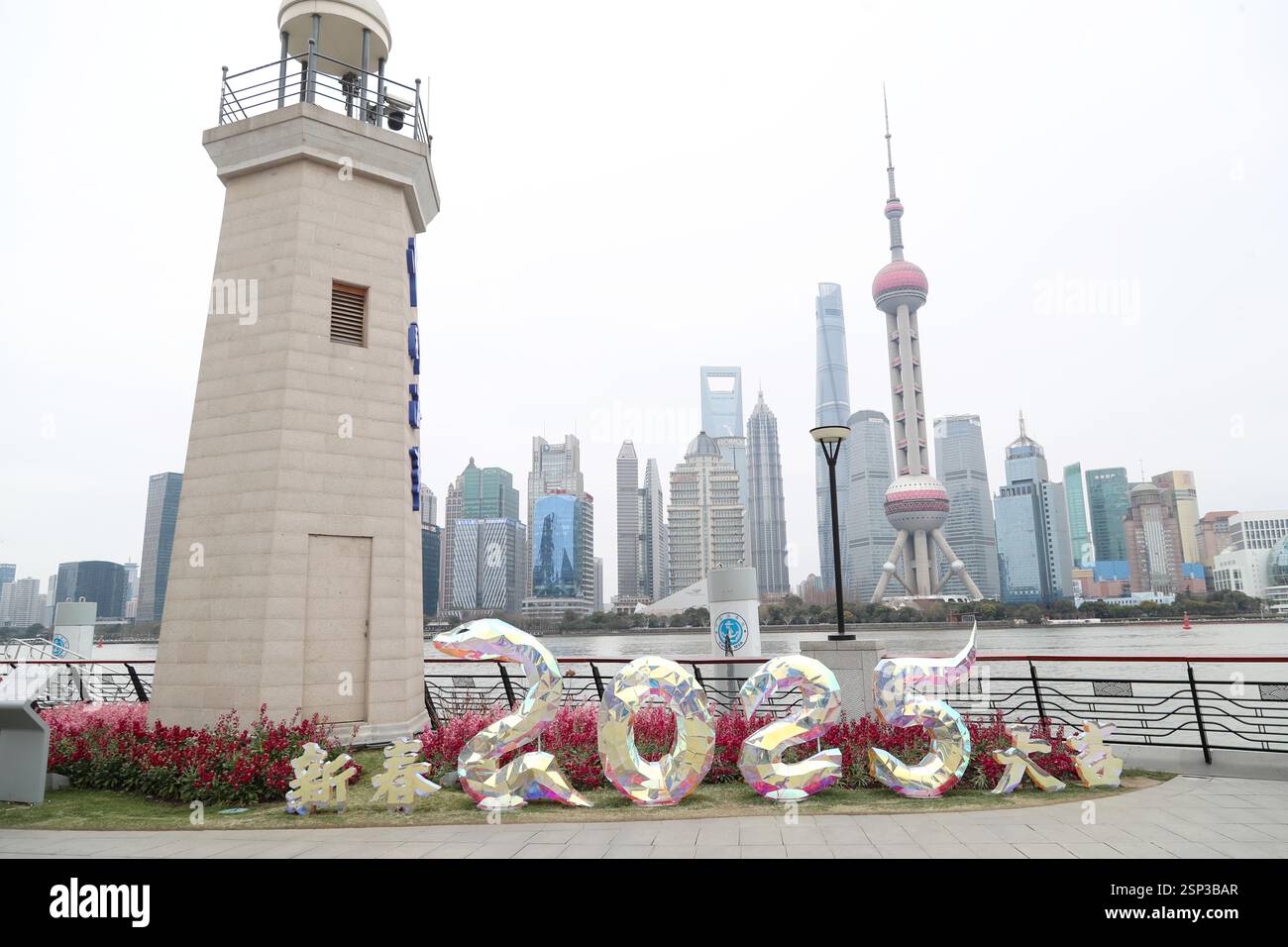 Spring flowers burst into bloom in Shanghai, China, 11 February, 2025 ...