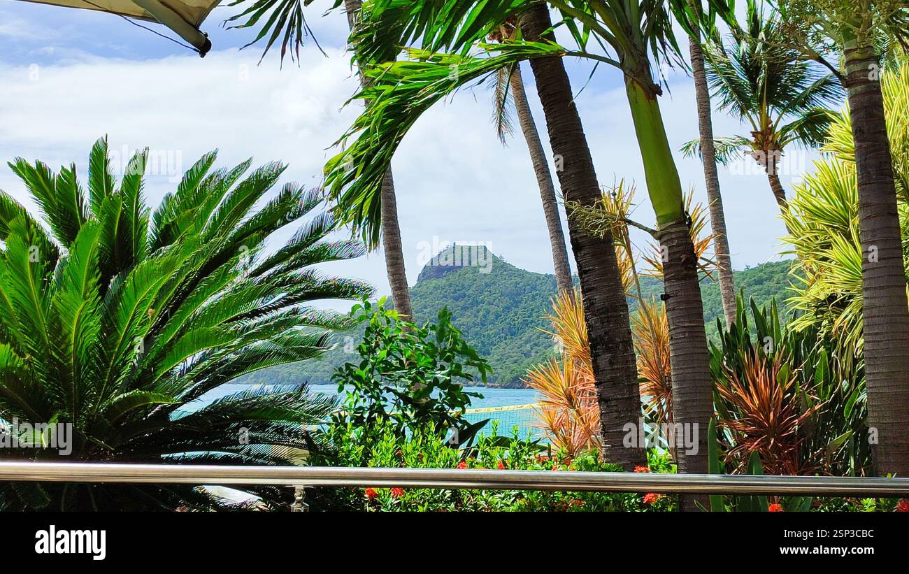 Hamilton Island dream: turquoise water laps a beach lined with swaying ...