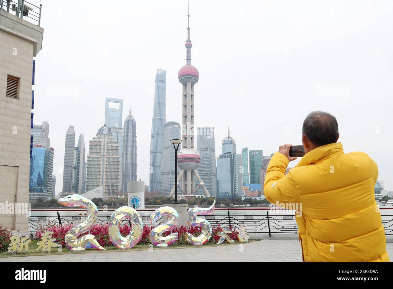 Spring flowers burst into bloom in Shanghai, China, 11 February, 2025 ...