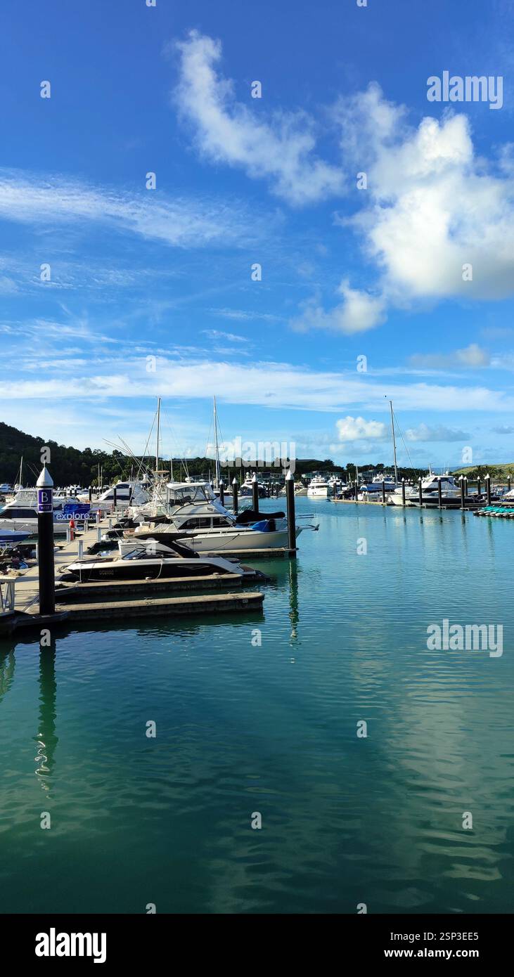 Hamilton Island marina: sunshine bathes a vibrant harbor filled with ...