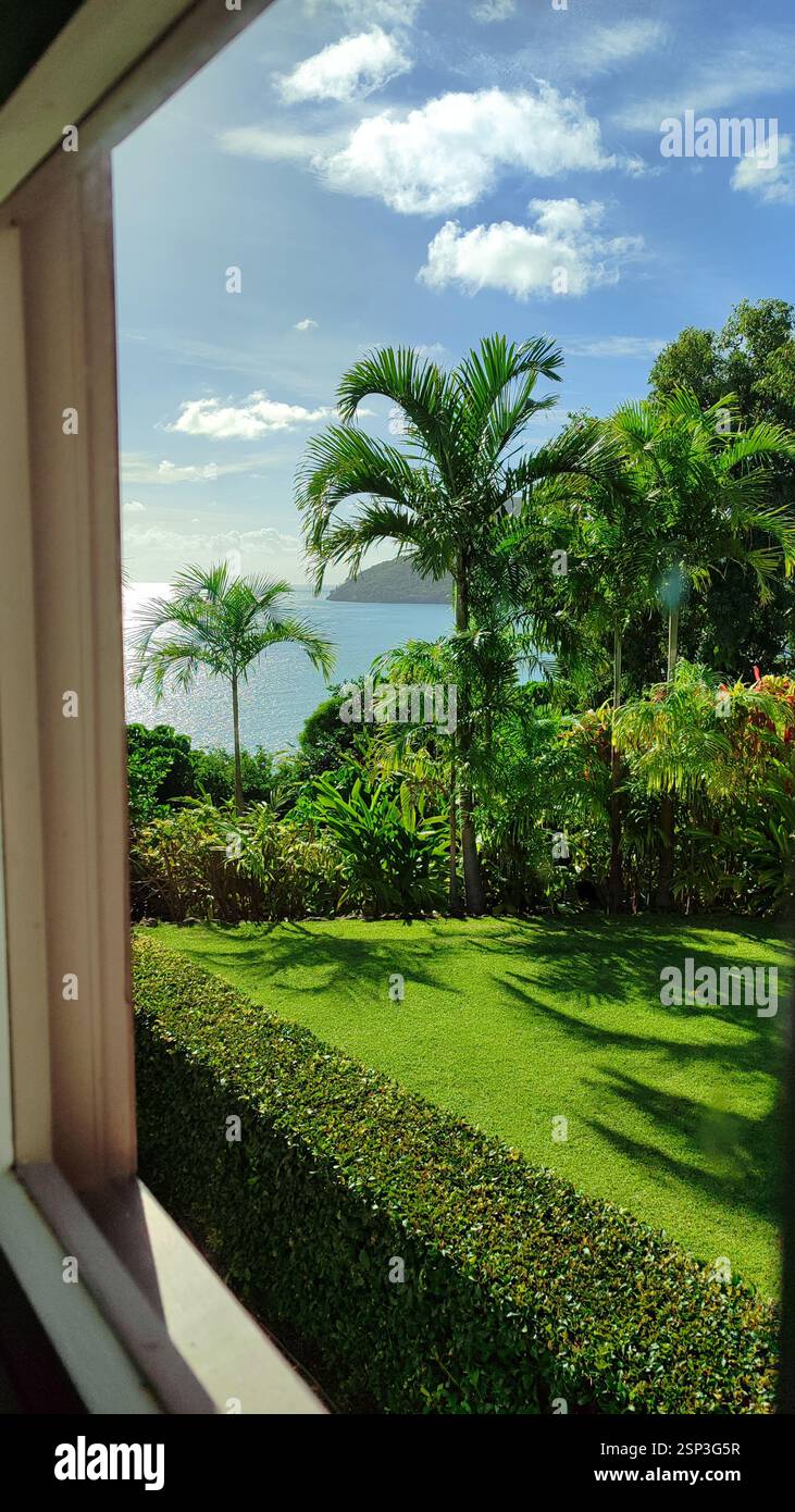 Hamilton Island oasis: lush greenery and palm trees unfold beyond a ...