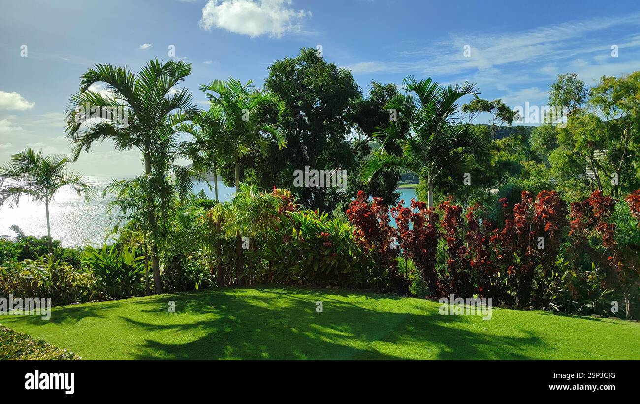 Hamilton Island oasis: a verdant lawn stretches towards a sparkling ...