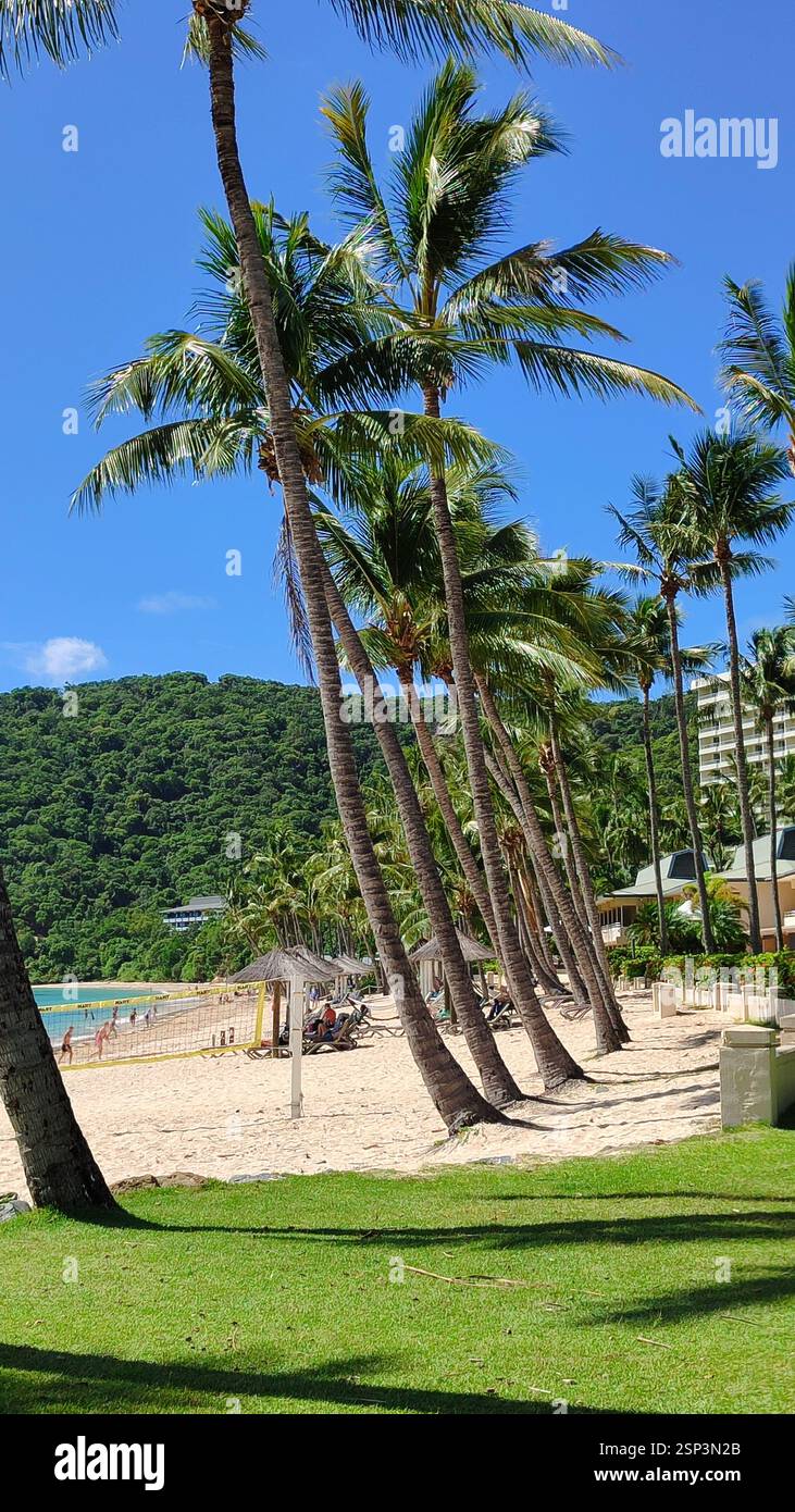 Whitehaven beach helicopter tour hi-res stock photography and images ...