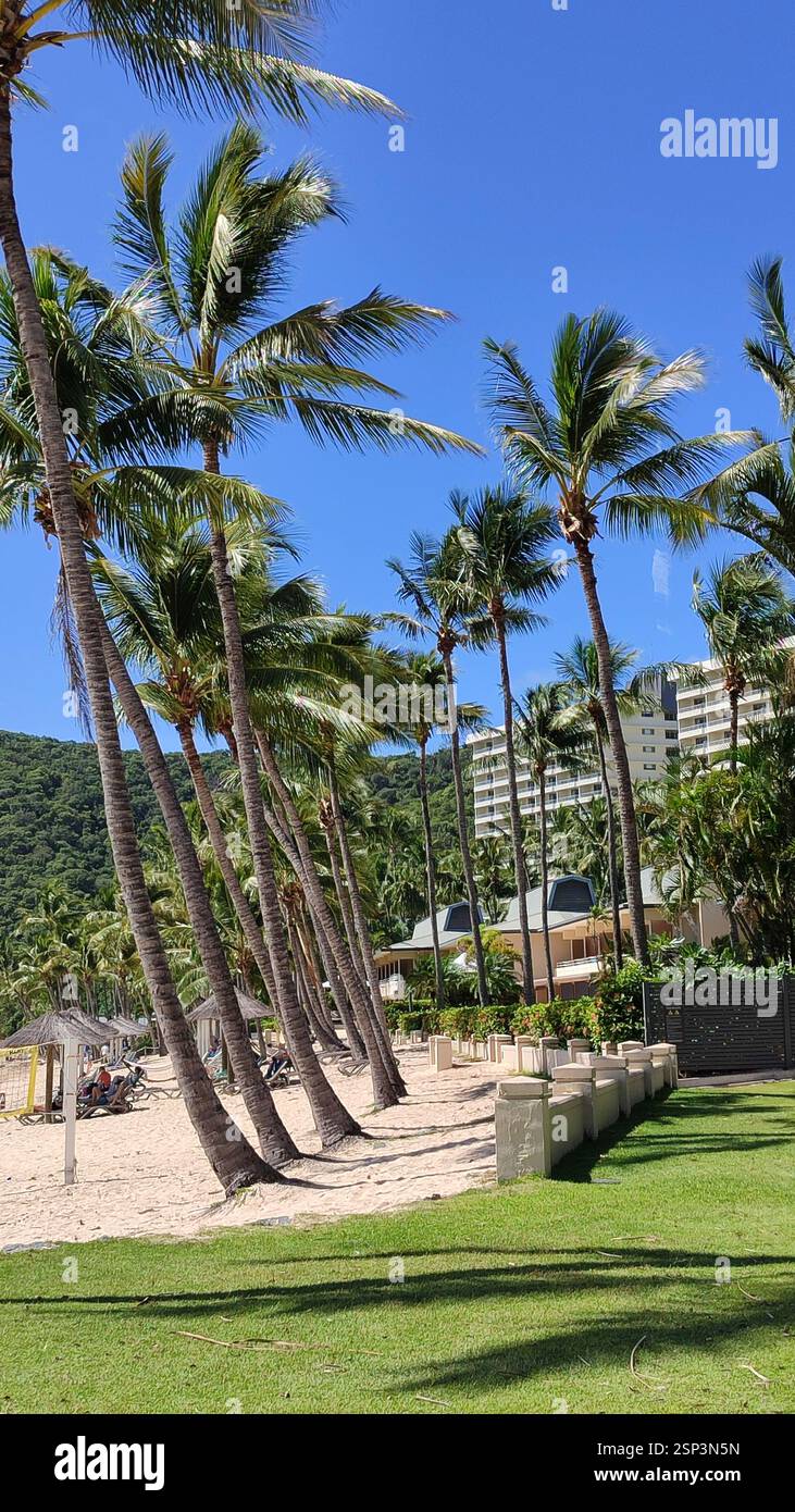 Hamilton Island sanctuary: turquoise water laps at a pristine shore ...