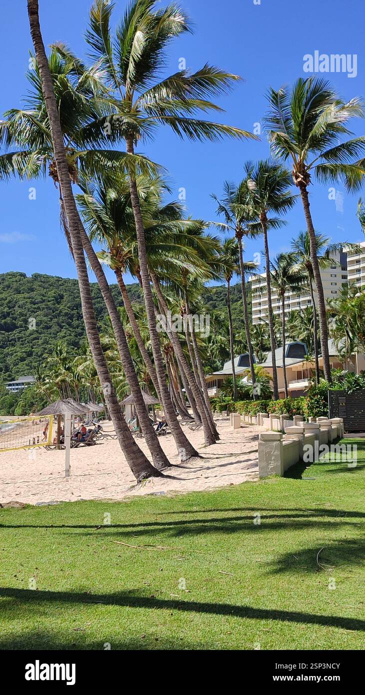Hamilton Island playground: a volleyball net stands ready on a pristine ...