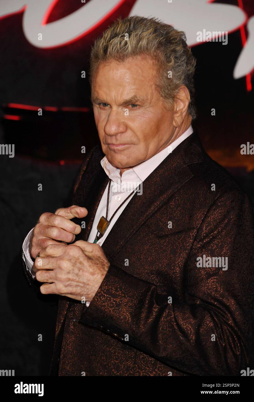 LOS ANGELES, CALIFORNIA - FEBRUARY 12: Martin Kove attends Netflix's ...